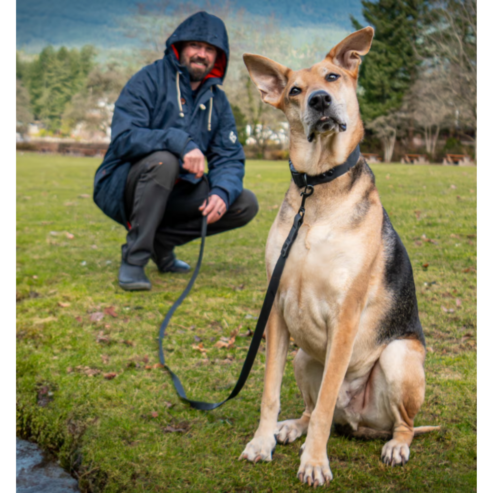 RC PETS, Longe imperméable, 10", Pour chien – MEUNERIE DALPHOND