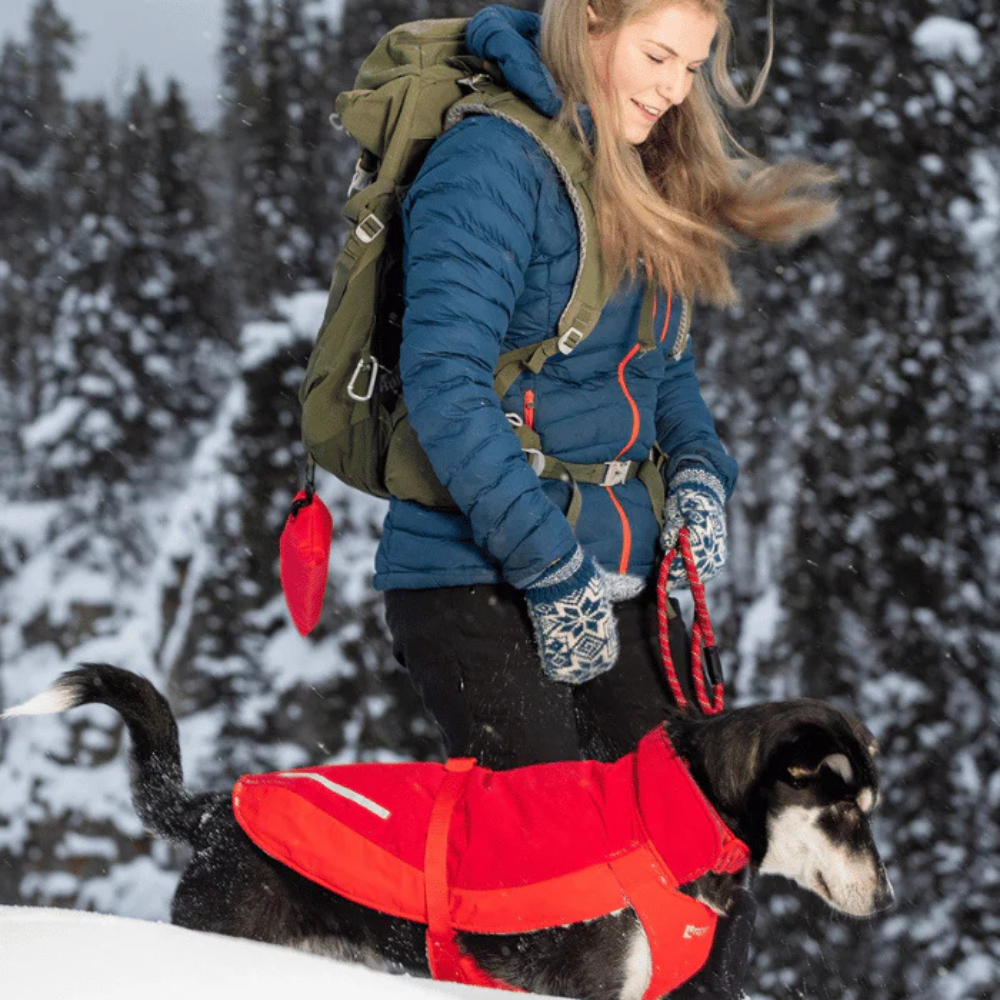 RC PETS, Circuit, Manteau, Pour chien – MEUNERIE DALPHOND