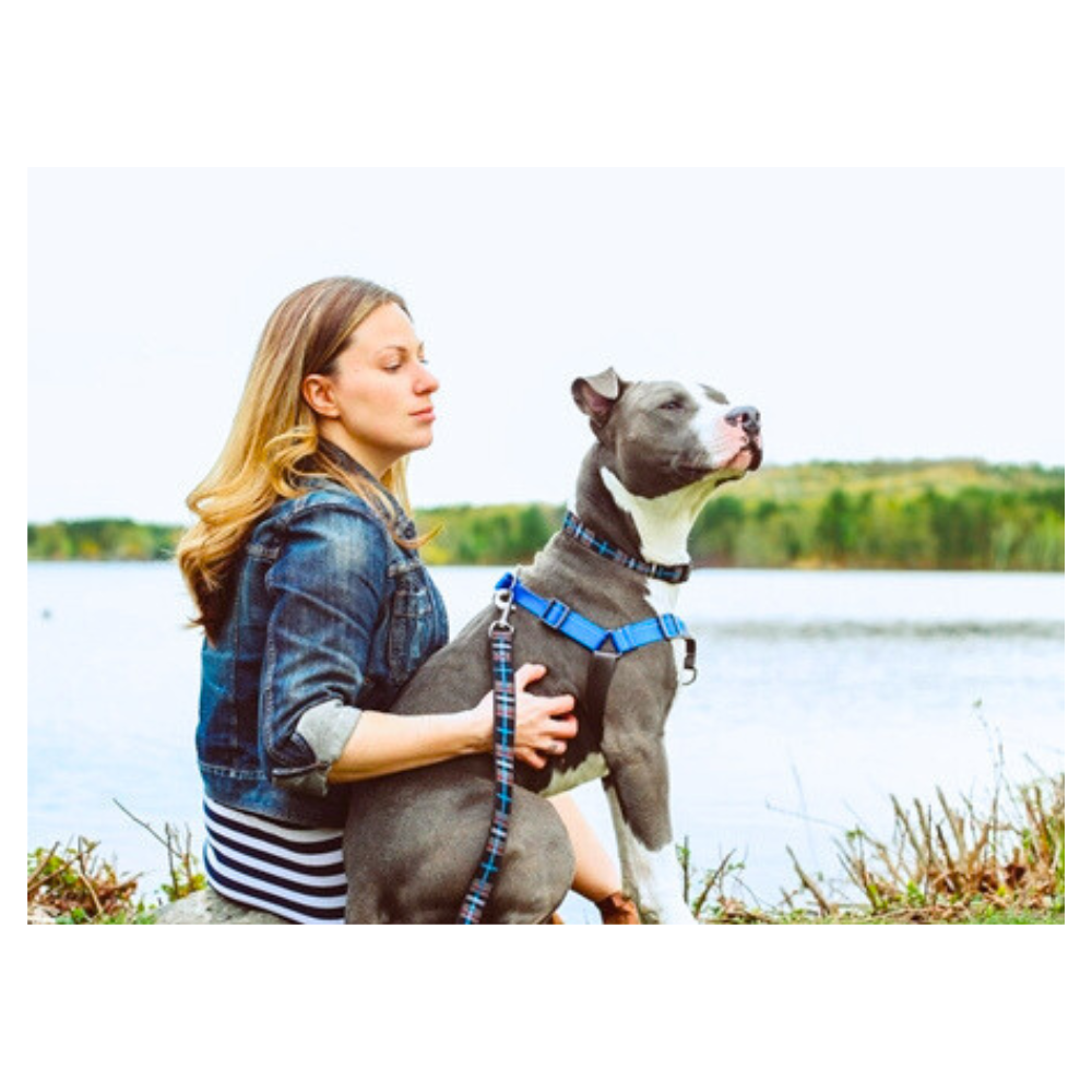 SUR COMMANDE - RC PETS, Pace No-Pull, Harnais de contrôle, Anti-tracti ...