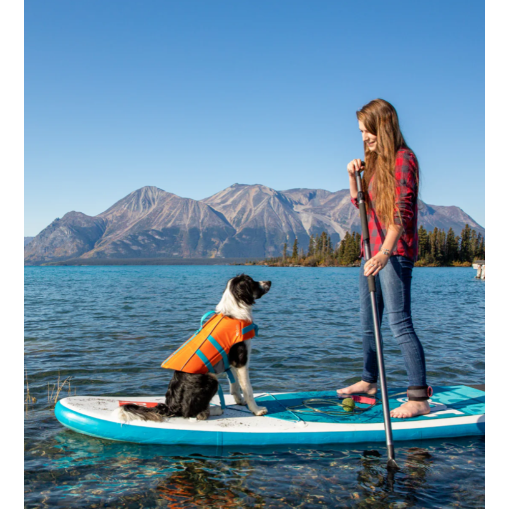 RC PETS, Tidal, Gilet de flottaison, Pour chien – MEUNERIE DALPHOND