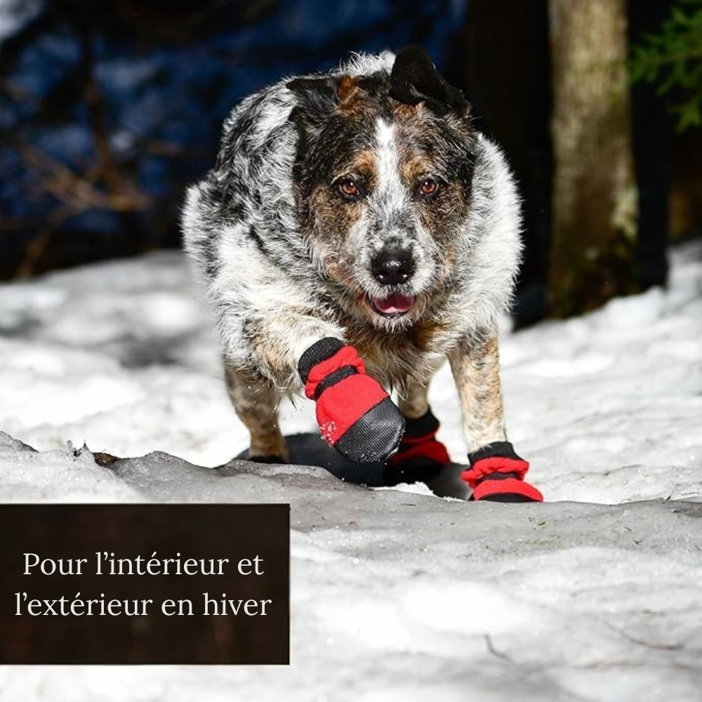 SUR COMMANDE - MUTTLUKS, Hott Dogger, Bottes en polar, Pour chien, Paq ...