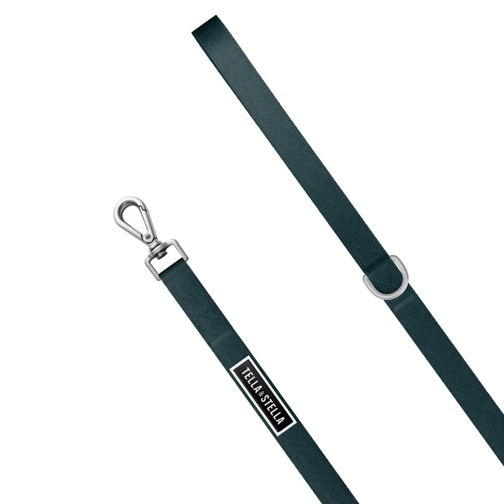 TELLA & STELLA, Vert Forêt, Laisse, En polyester, Pour chien – MEUNERIE ...