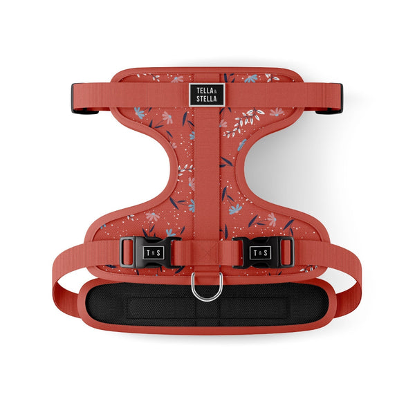 TELLA & STELLA, Harnais ajustable pour chien Livia – MEUNERIE DALPHOND