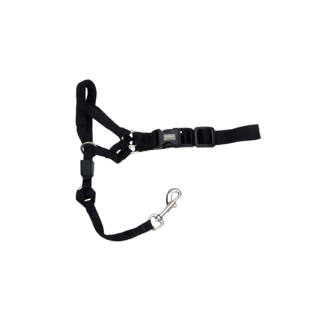 SUR COMMANDE - COASTAL, Walk'N Train!, Licou, Pour chien – MEUNERIE ...